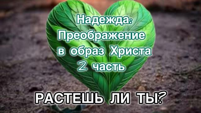 Надежда духовного роста. Преображение в образ Христа. 2 часть.