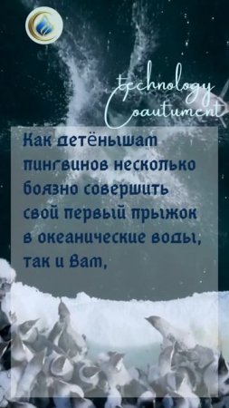ТриП  Потенциал - Прогресс - Польза - Клип @tripcoautument