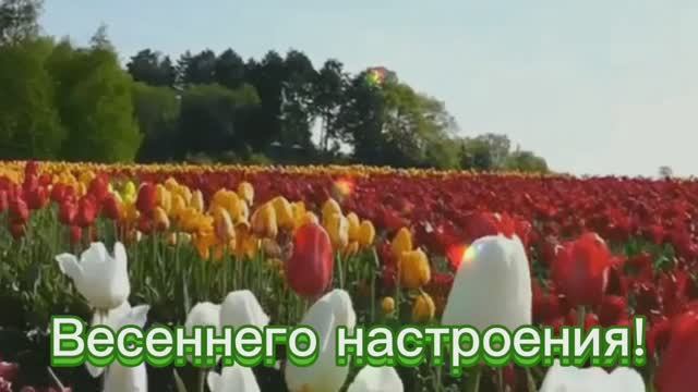 Весна!