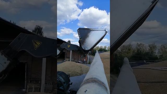 Загрузка пшеницей в режиме погрузчика Класс.