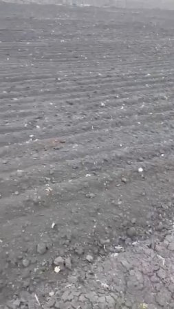 Шлейфовая зубовая борона TIREX #сельскоехозяйство #farming