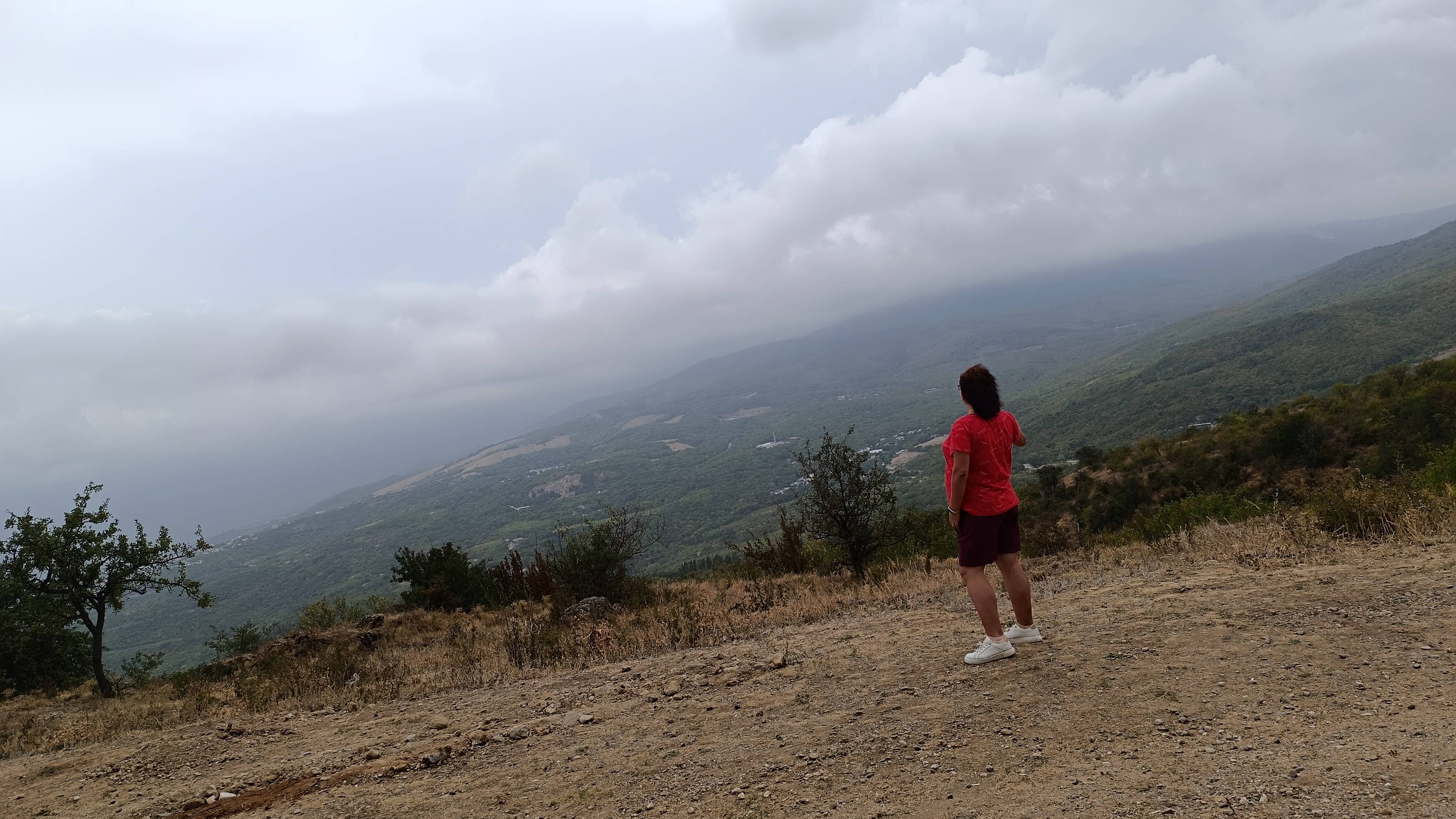 Под властью Зеленого Деревянного Дракона