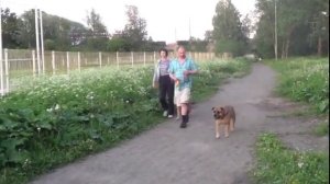 Прогулка5