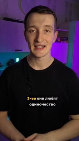 признаки людей с высоким IQ
