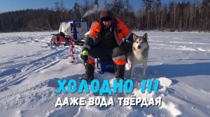 ПО ТВЁРДОЙ ВОДЕ В МОРОЗ НА РЫБАЛКУ!!!