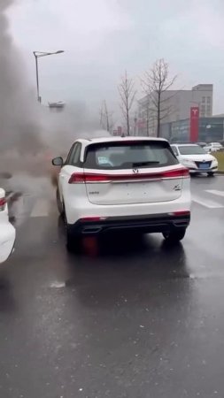 5 летний немец или новый китаец? #китаец #китайскоеавто #geely #cherry inst:@alex_alekskom