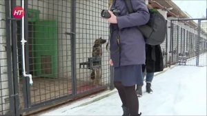 Служебные собаки УФСИН