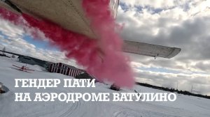 Гендер пати на Аэродроме Ватулино