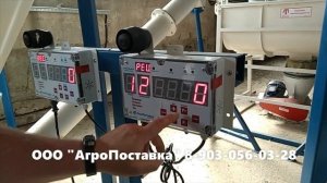 Весы ДУЭТ для мини комбикормового завода