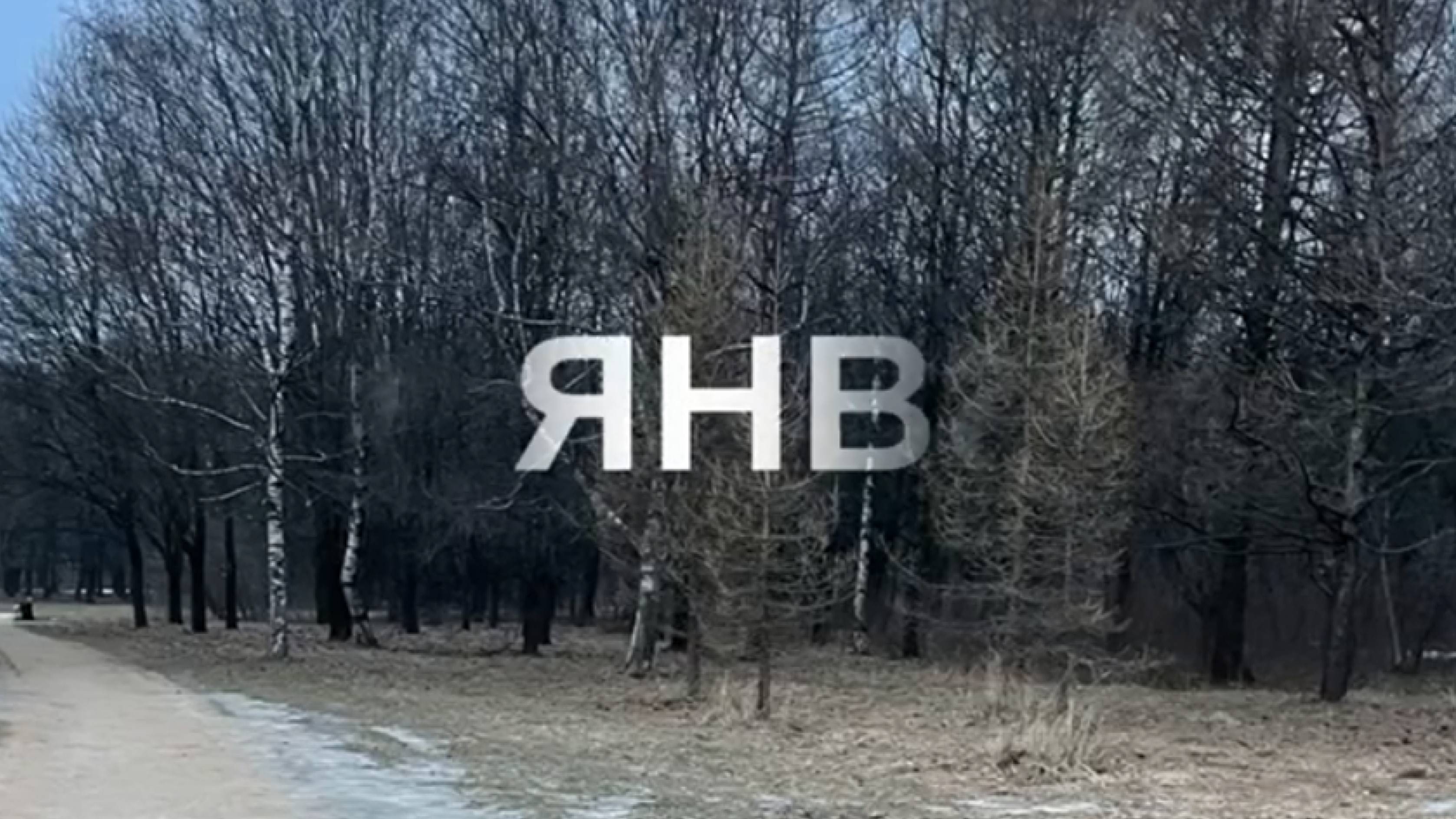 Очистка ТОНКОГО ТЕЛА.