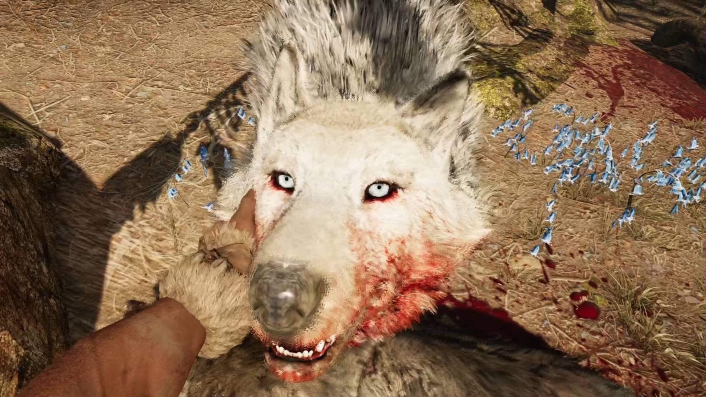 ЗАСТАВИЛ МЕНЯ ПОТЕТЬ! САМЫЙ ПЕРВЫЙ ИЗ ЛЕГЕНД ЛЕДОВОЛК! | FAR CRY PRIMAL | ЧАСТЬ 24