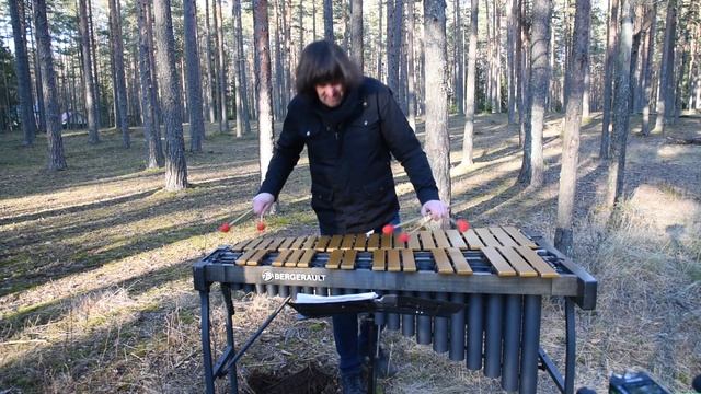 Концерт в лесу - магические звуки вибрафона. Алексей Чижик. Музыка для релакса.