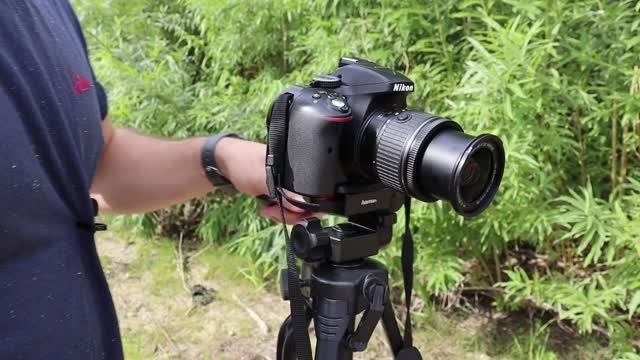 Canon 250d и Nikon d5300 сравнение видео