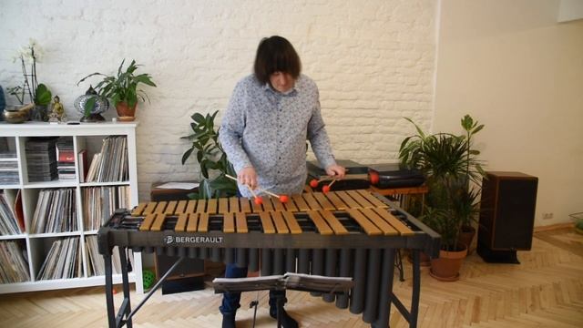 Музыка для релакса - сольный вибрафон 5 палочек. Концерт Алексея Чижика