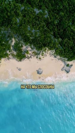 #shorts Если мы можем что-то представить, значит мы способны это сделать