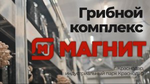 Адиабатическое увлажнение воздуха в грибном комплексе в г Краснодар (Магнит)