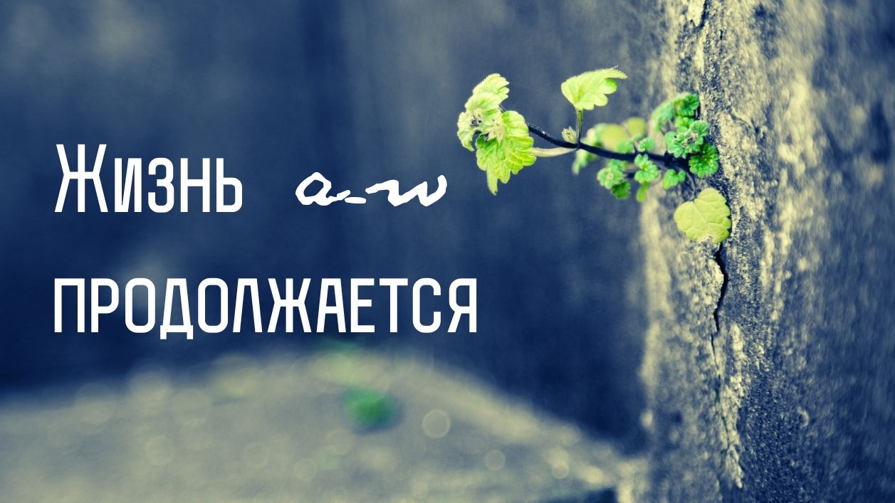 Жизнь продолжается