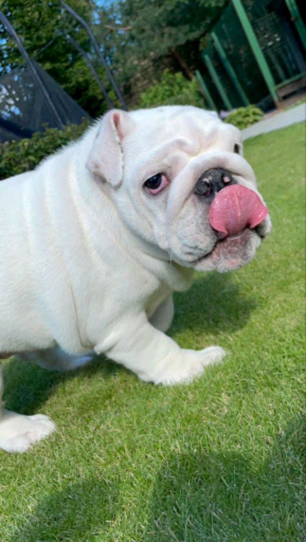 Жизнь на сборах без родителей