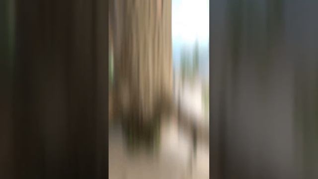 Музей на подушках