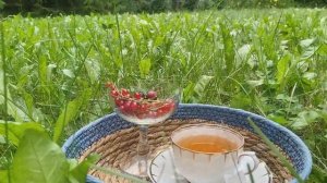 🌿ПОКУПКИ ФИКСПРАЙС в интерьере🌿МНОГО СТИЛЬНЫХ ПРИМЕРОВ