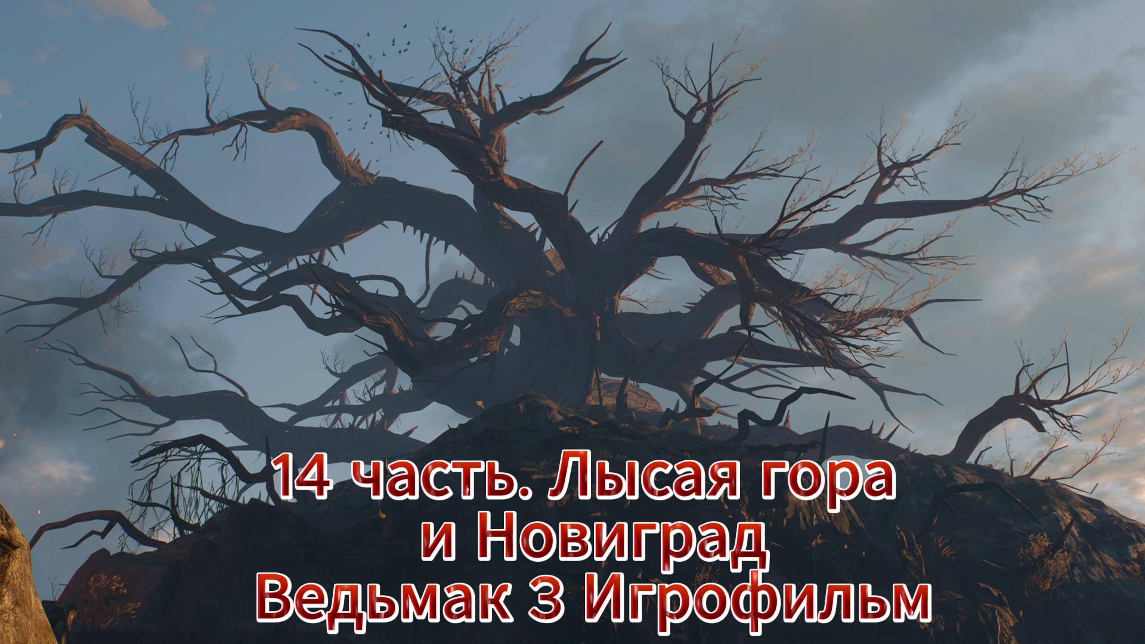 14.Лысая гора и Новиград Игрофильм Ведьмак 3  [4K 60fps]