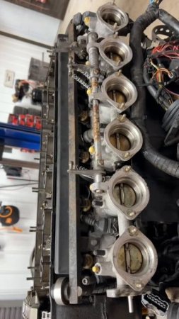 BMW E34 M5 S38B36 Engine Camshafts, Valvetrain, Timing Chain Drive and Throttle Bodies