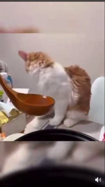 нюхни сам