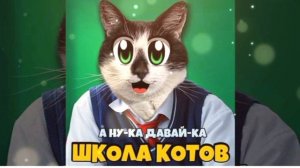 гимн школы котов🐱