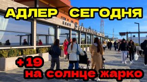 Покажу  Адлер 2025 | КАФЕ БОЛЬШЕ НЕТ | ПОСМОТРИТЕ сколько людей | ЧАЙКА Мандарин