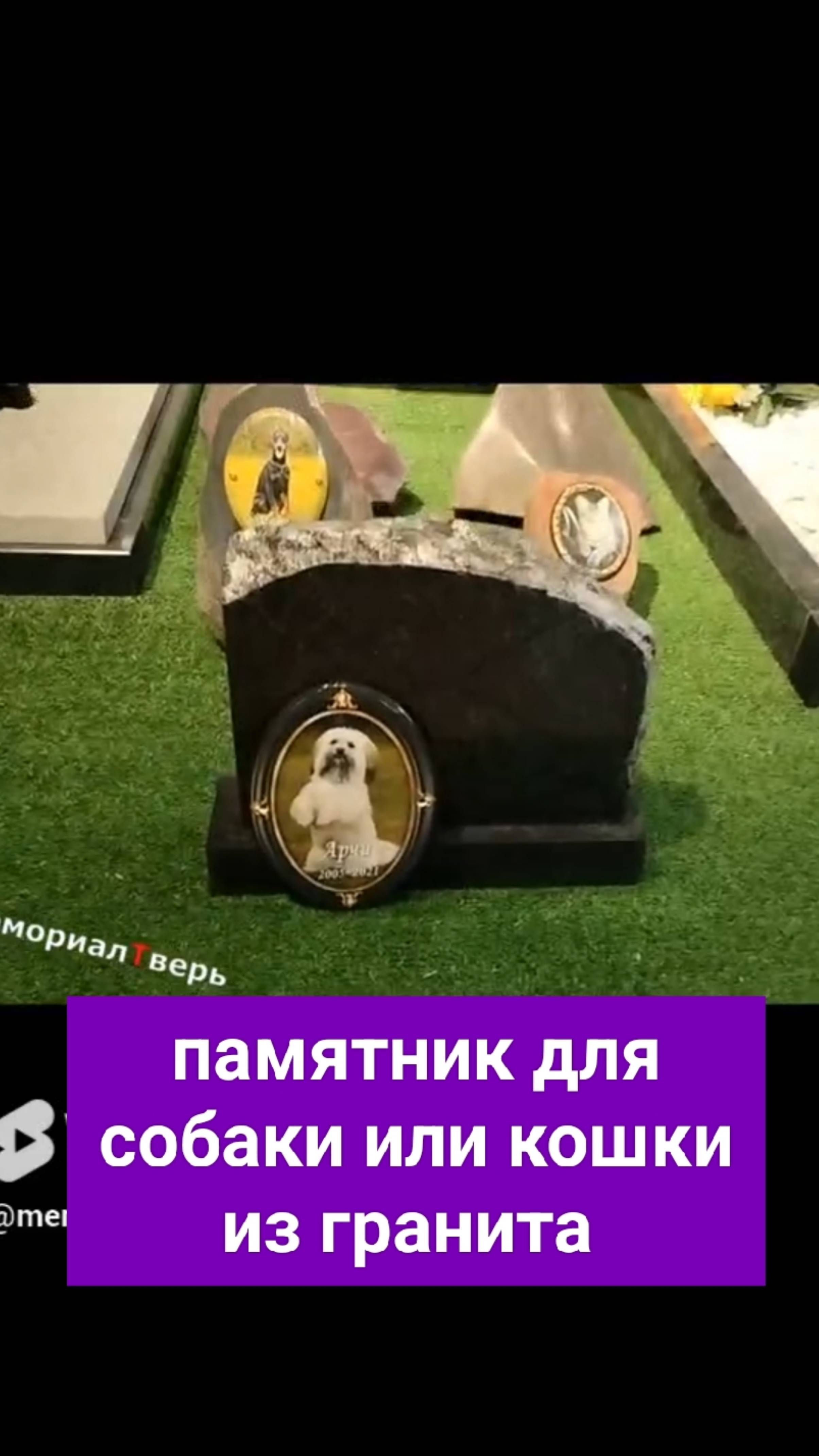 памятник для животного на кладбище . Красивый памятник для собаки .  #кладбище #памятниксобакекоту