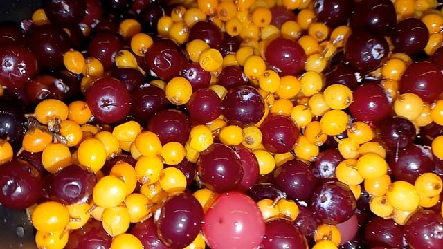 "Вкусности БЕЗ САХАРА. 🍒🍓Витаминный морс из клюквы и облепихи: идеальный напиток для зимы!❄️