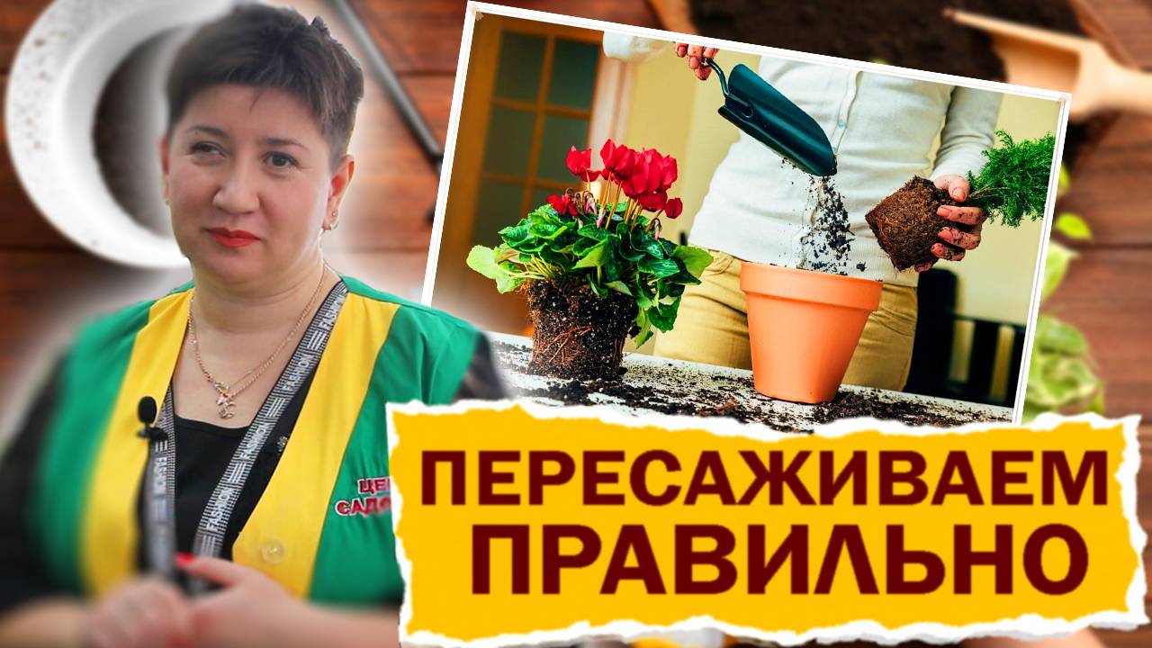 ПЕРЕСАЖИВАЕМ РАСТЕНИЯ ПРАВИЛЬНО! КАК И КОГДА? #сад #огород #растения