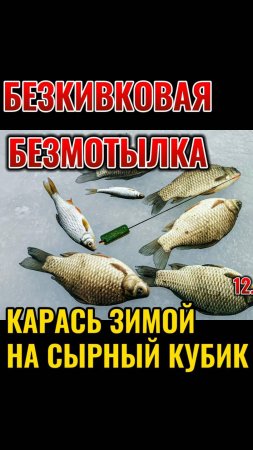 Караси зимой на безкивковую безмотылку. Прототип удочки "КБшка" .