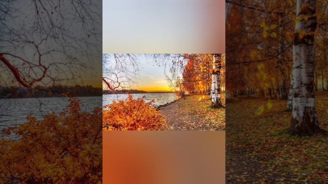 Осень для чат-бота Зои Гариной
