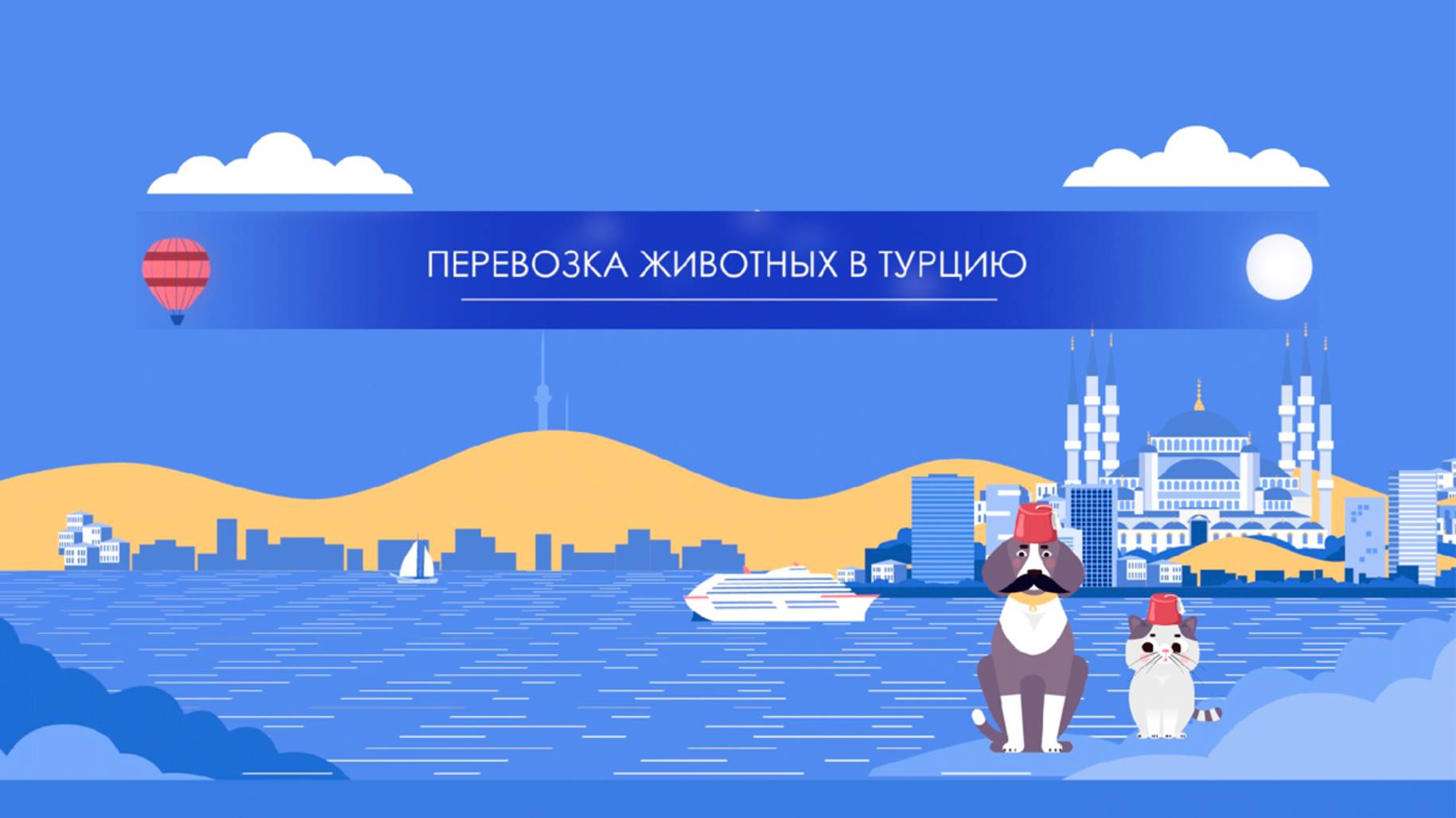 Перевозка животных в Турцию