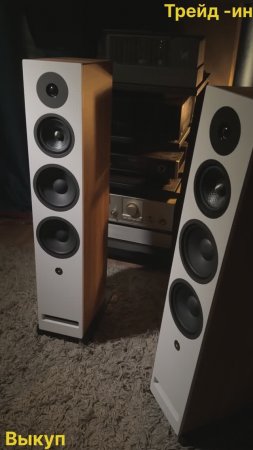 Распаковка напольная акустика davis acoustics krypton 9