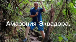 Половина страны - это джунгли.