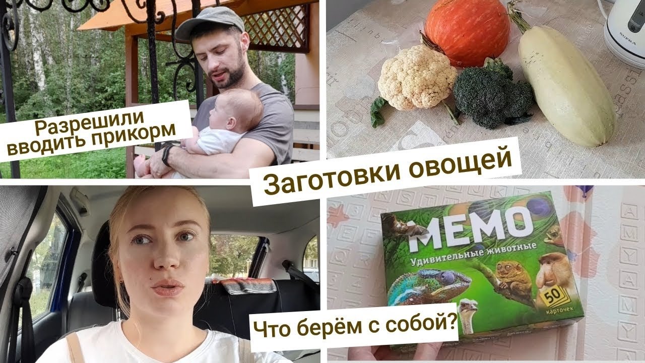 Едем на базу🏕  Разрешили вводить прикорм🥦 Заготовки овощей на зиму🍅 | 4 месяца и 1 неделя