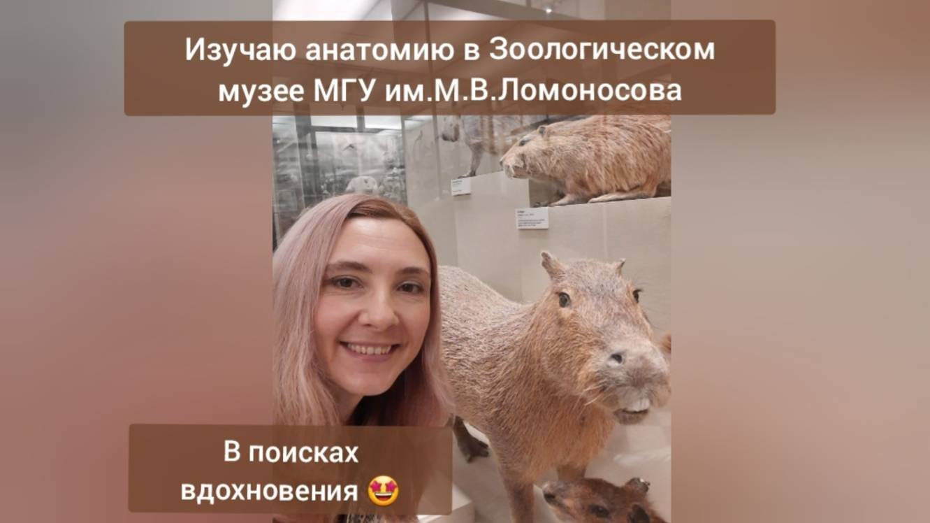 Изучаю анатомию животных в Зоологическом музее МГУ им. М.В.Ломоносова