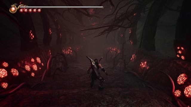 NINJA GAIDEN 2 BLACK   2025#13