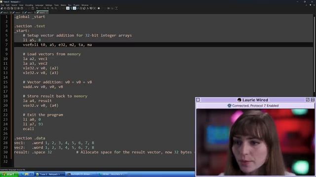 The Magic of RISC-V Vector Processing