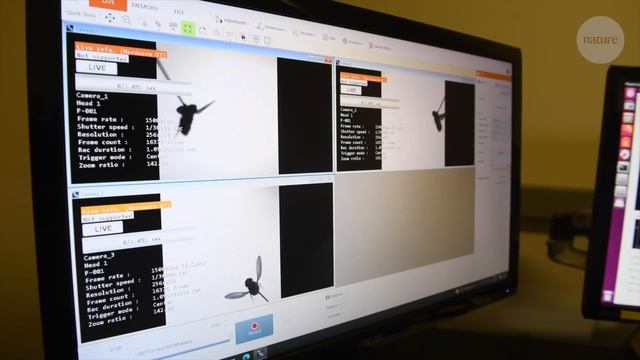 AI and robotics demystify the workings of a fly s wing
