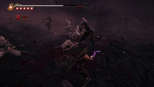 NINJA GAIDEN 2 BLACK   2025#12