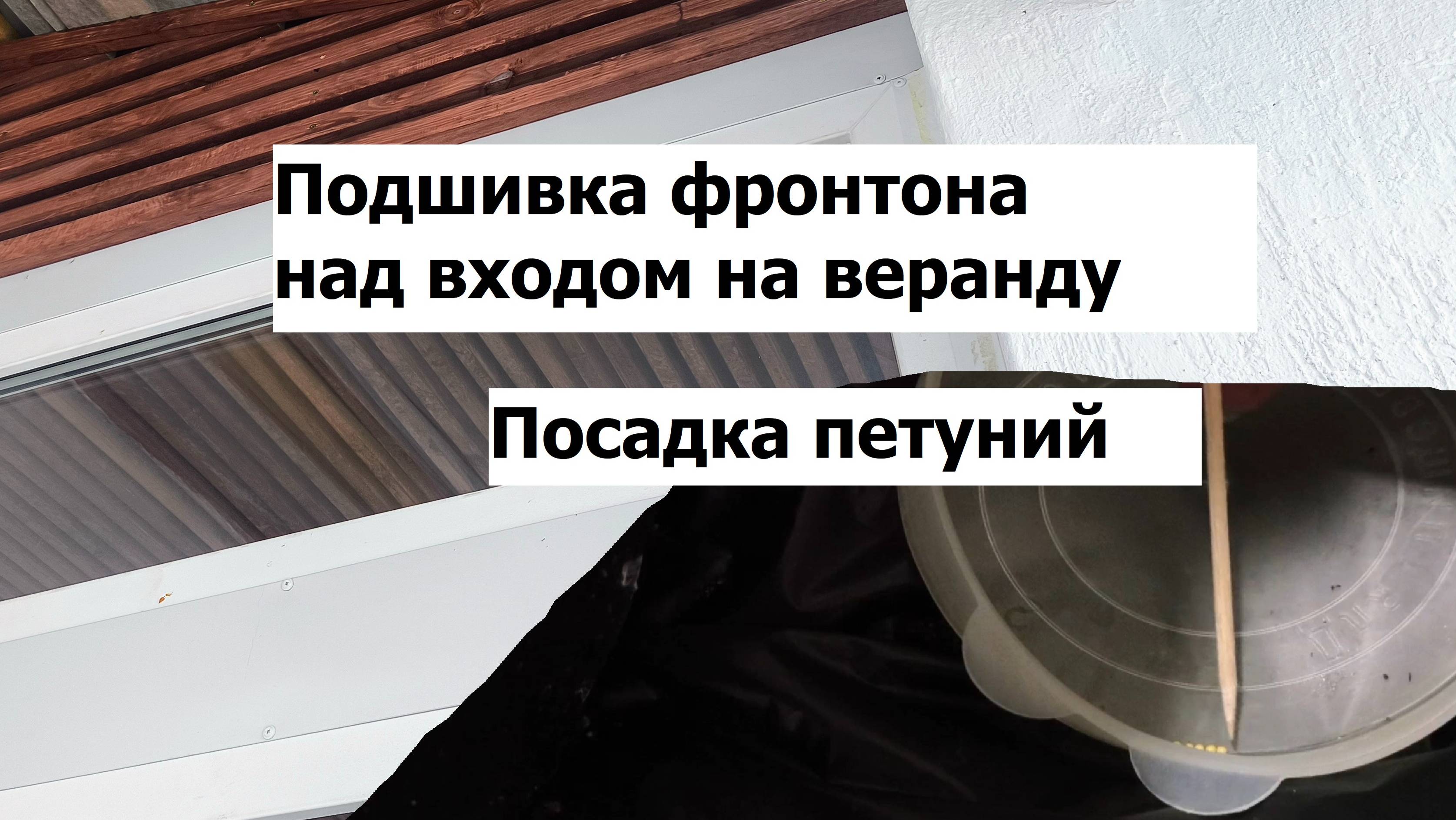 Сажаем петунии, обшиваем фронтон