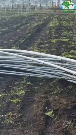 Услуги шеф-монтажа промышленных теплиц🌱