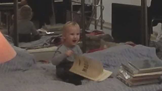 Моцарта нашел! 17 января 2025 года