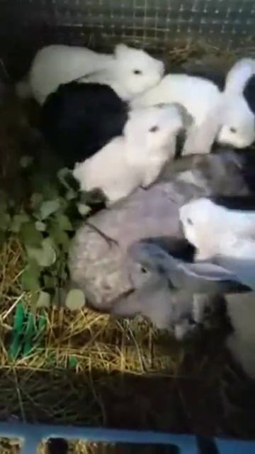 А помните как в детстве