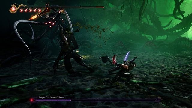 NINJA GAIDEN 2 BLACK   2025#Final