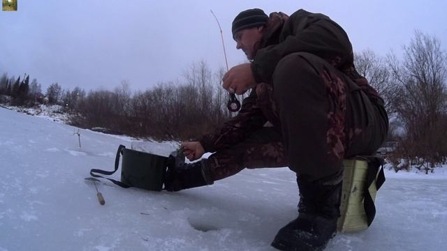 Ловля живца,(гольян)