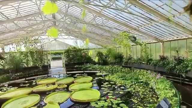 3D Gaussian Splatting + Insta360 RS 1＂ - Waterlily House, Kew Gardens